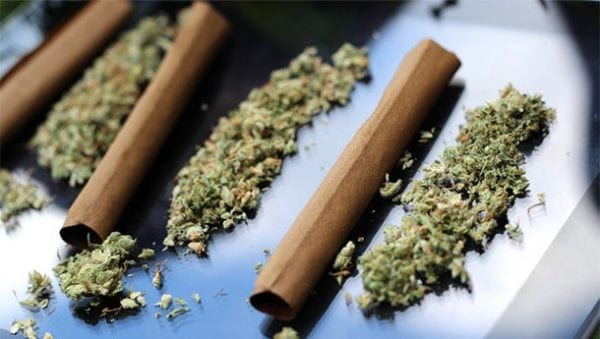 History of 420: Why We Celebrate This Weed Holiday