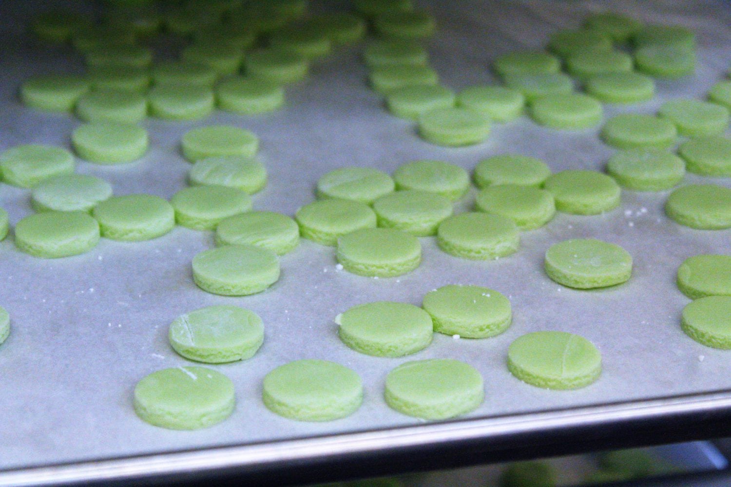 Learn About Botanica Seattle's Mouthwatering Line of Cannabis Edibles