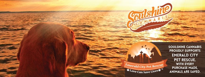 Soulshine Cannabis One Of The Best Cannabis Brands In Washington