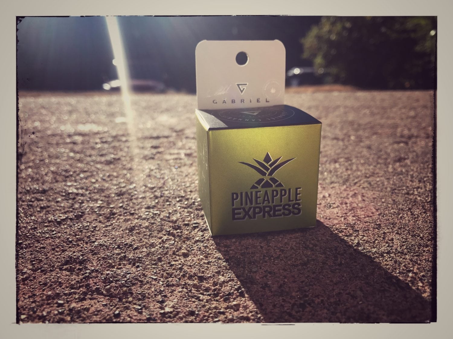 Gabriel Cannabis Pineapple Express Rosin | Strain Review