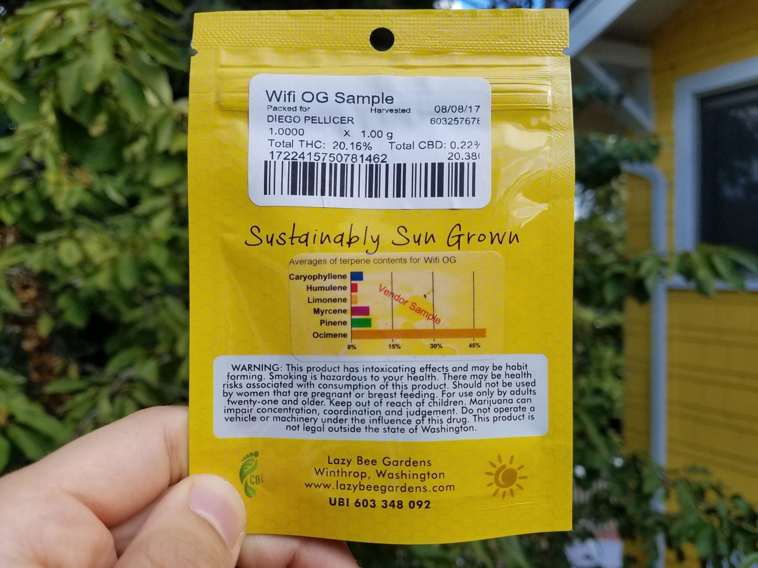 A Real Review of The Wifi OG Strain From Lazy Bee Gardens