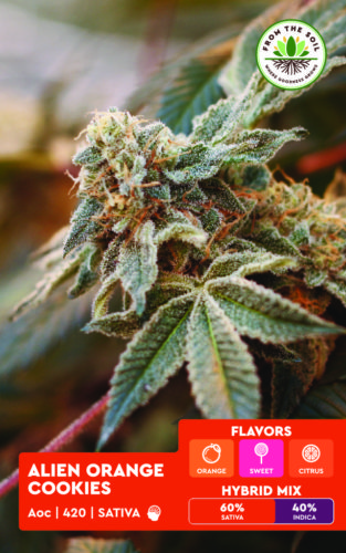 fts-strain-cards-flower-Aoc | Respect My Region