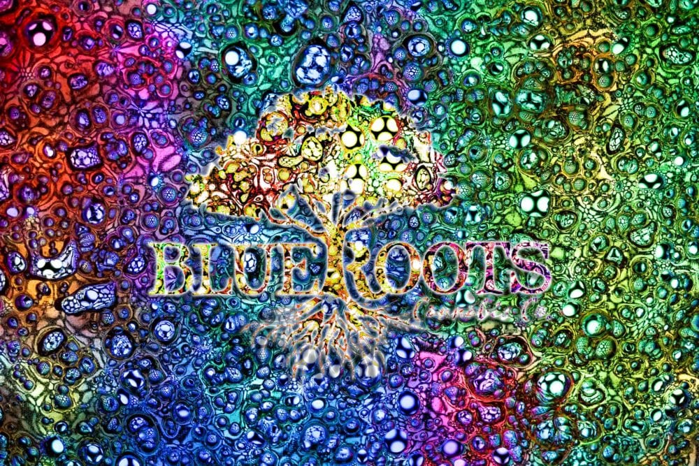 Blue Roots Cannabis Co. Comes With Quality On All Fronts