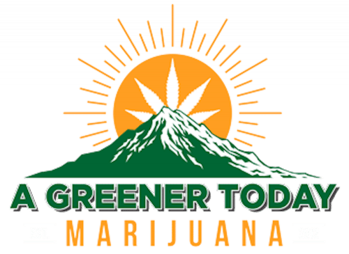 Bothell Pot Shops: A Greener Today Provides Great Customer Service