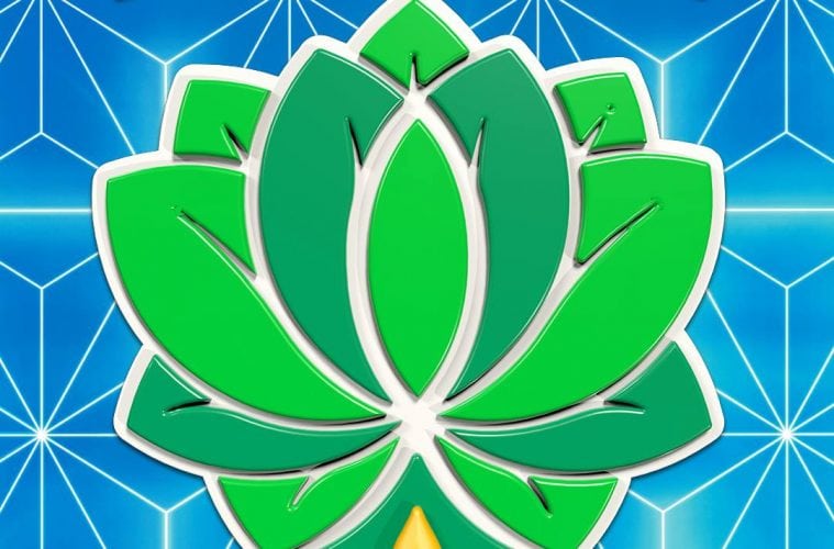 bodhi high Archives | Respect My Region