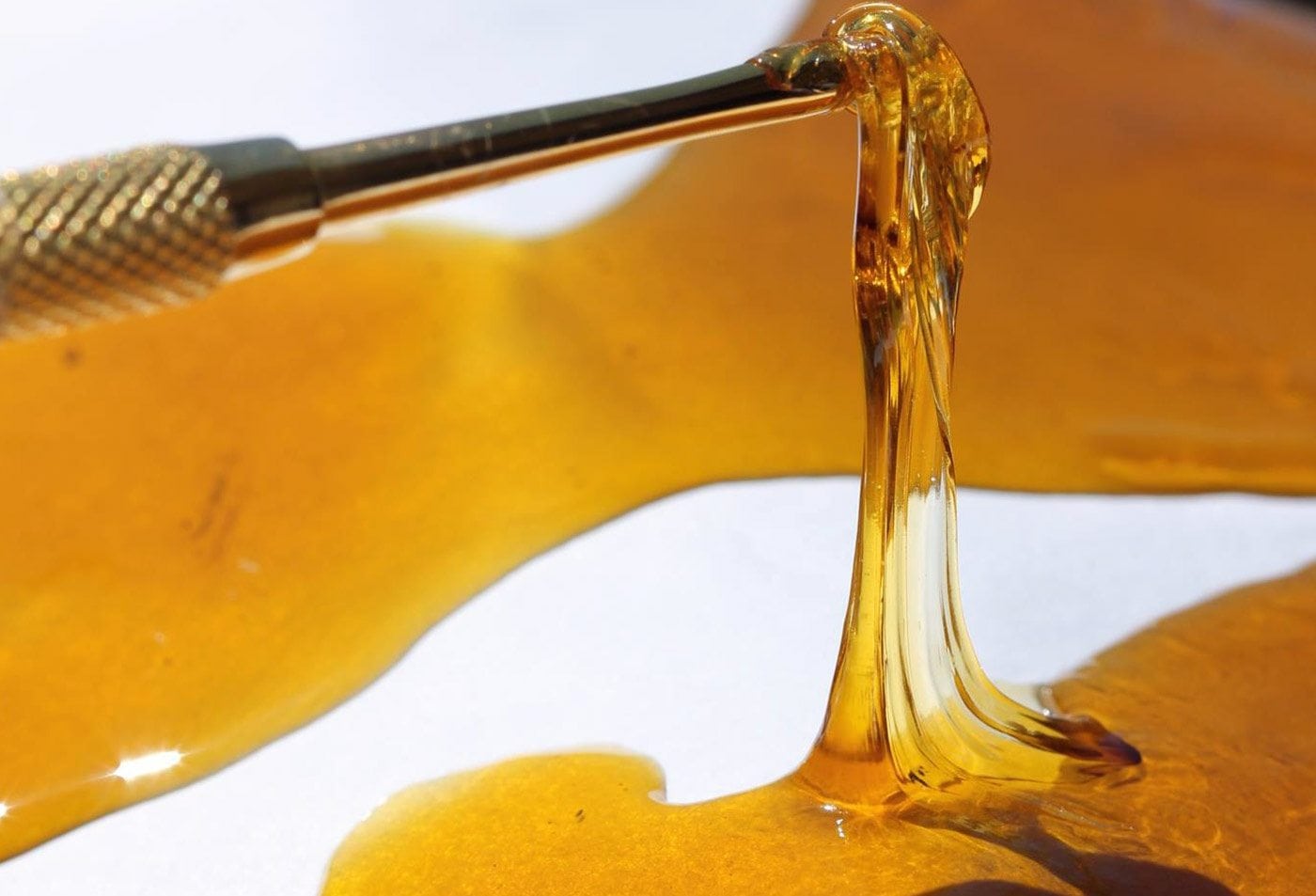 Learn More About The Purple Pie Strain Concentrate From MFused
