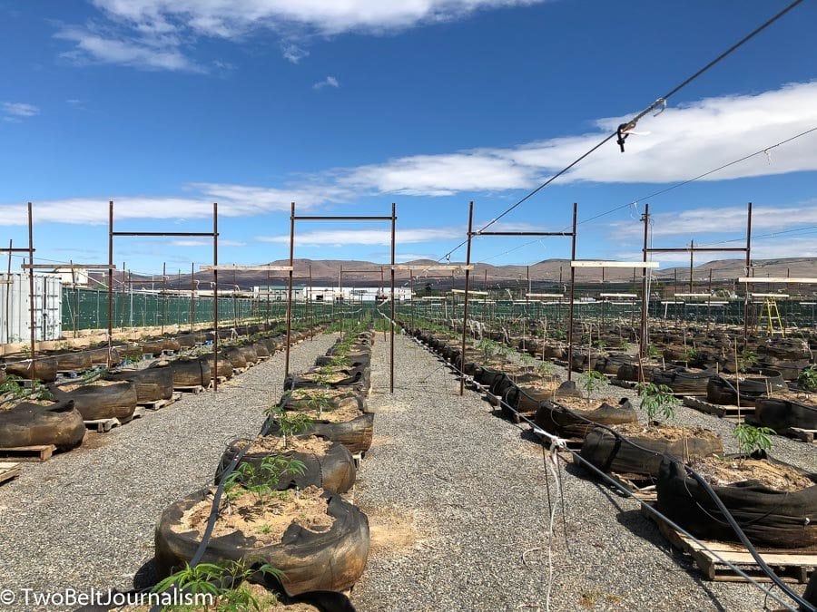 Orgrow Is Changing Minds With Improved Products and Transparency