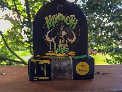 Exodus Cheese Cannabis Review (Prod. Mammoth Labs)