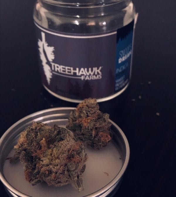 Snoops Dream Strain Review - Cultivated By TreeHawk Farms