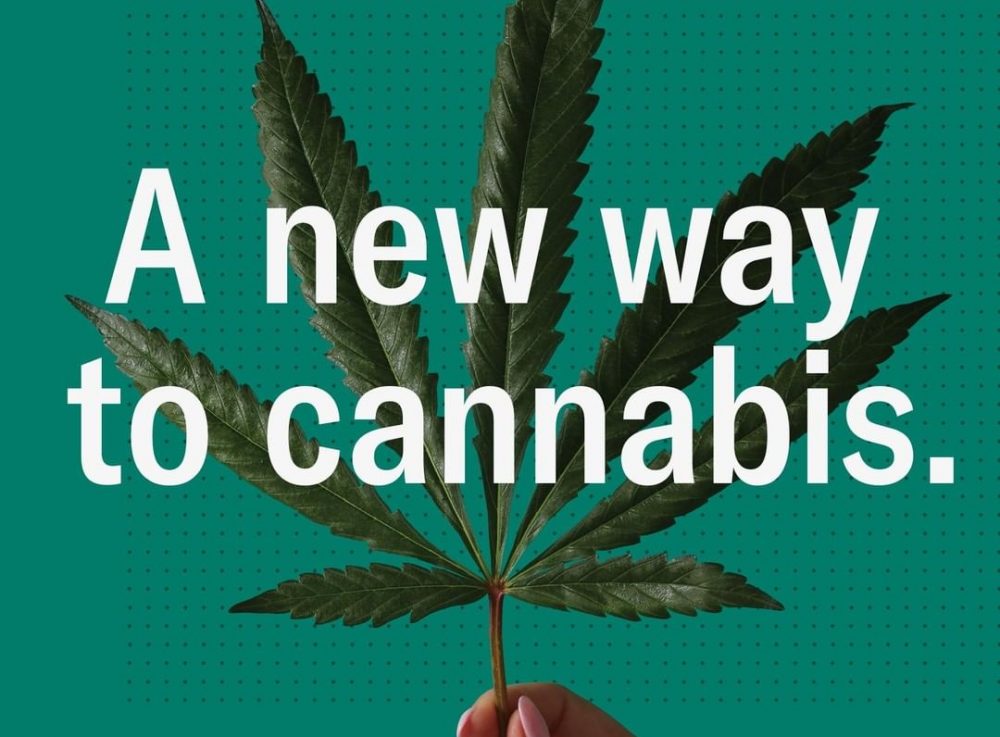 Leafly Creates New Visual Language With Rebranded Cannabis Guide