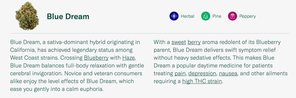 Leafly Creates New Visual Language With Rebranded Cannabis Guide