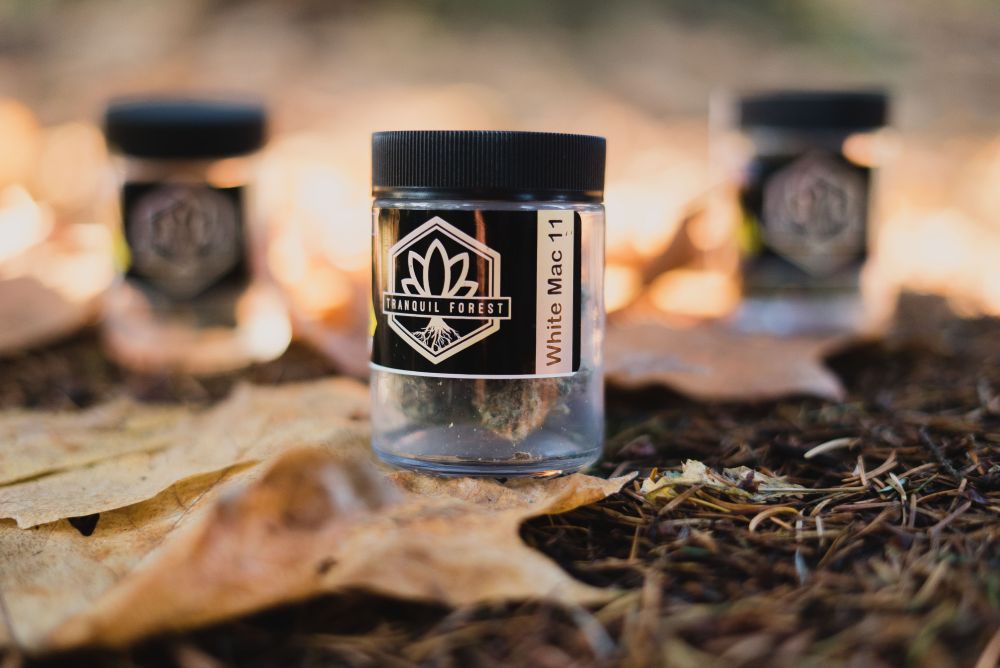 White Mac 11 Is a Beautiful Blend Of The White And MAC