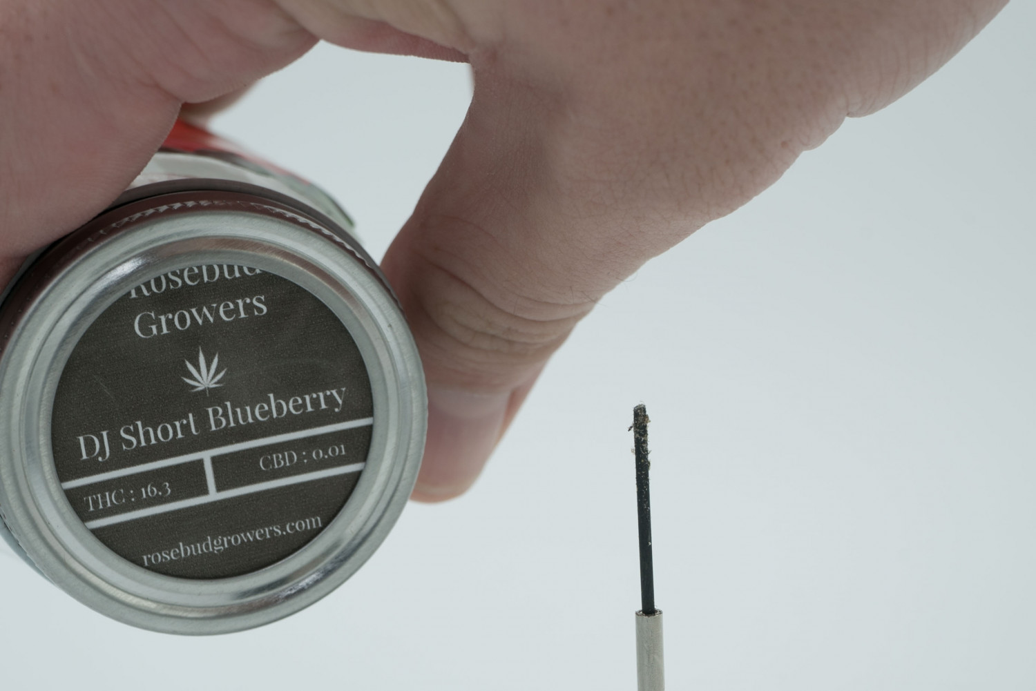 DJ Short Blueberry From Rosebud Growers Is Classically Fruity And Loud