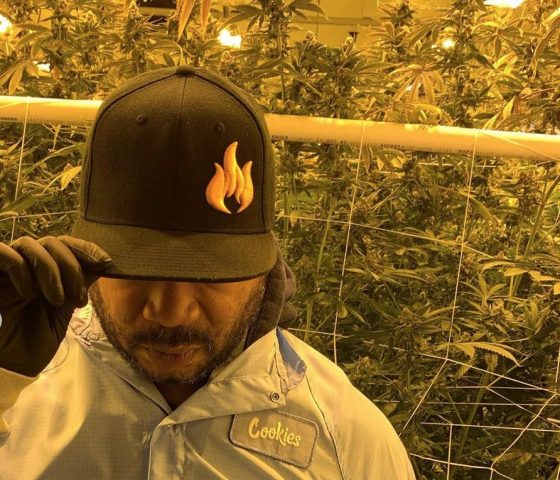 Rapper Weed: Which Rappers Have Cannabis Products In The Market?