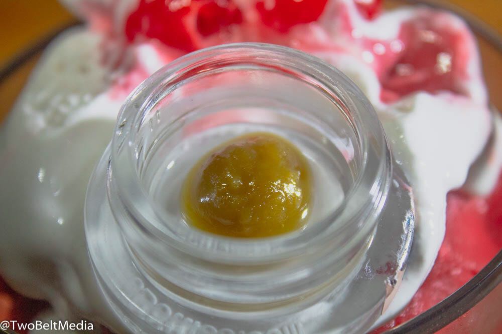 Rosin For Rookies: Everything About Live-Rosin and Cured Rosin