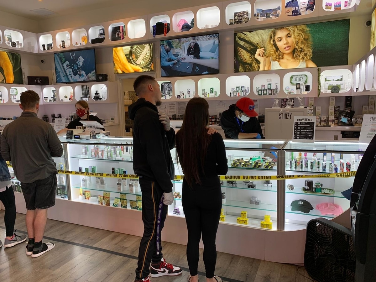 STIIIZY's Davis Dispensary Has A Friendly Professional Vibe, Daily ...