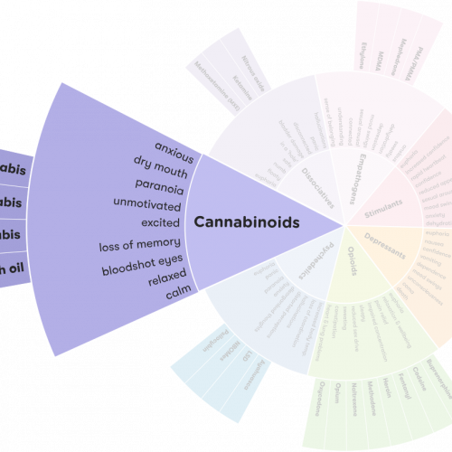 Drug_wheel_segment_-_Cannabinoids_segment2x.original | Respect My Region