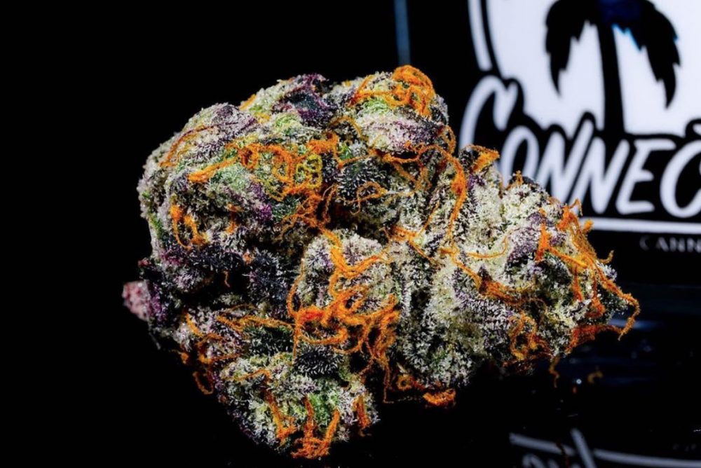Gushers Strain: A Euphoric Blast Of Exotic Tropical Berry Terps