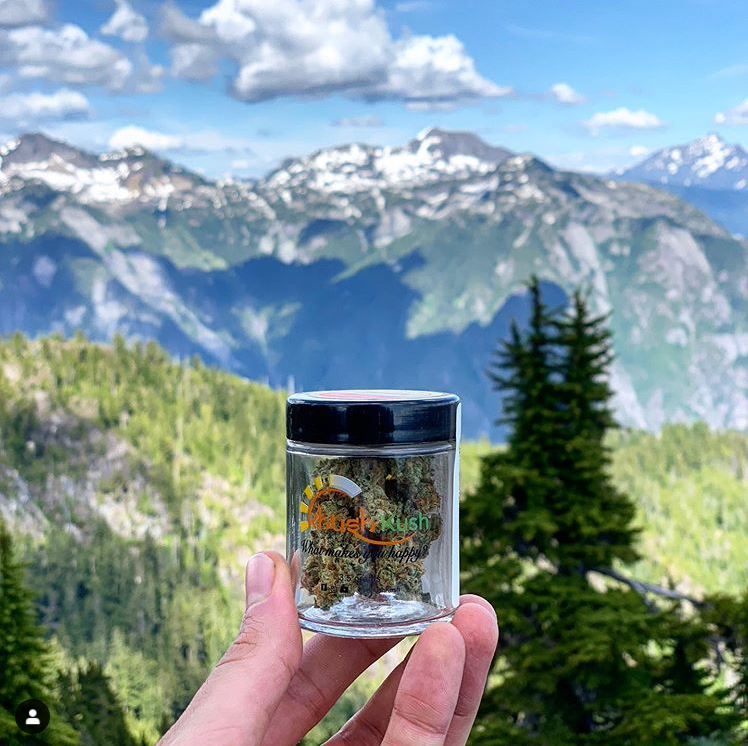 Gelato Larry #2 By Khush Kush Is Sure To Make You Happy