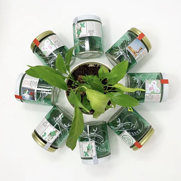 Fifteen Quality Washington State Cannabis Farms That Won't Break The Bank