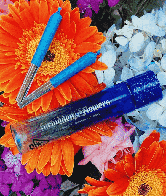 The Midnight Thorneberry Strain Review Featuring Bella Thorne's ...