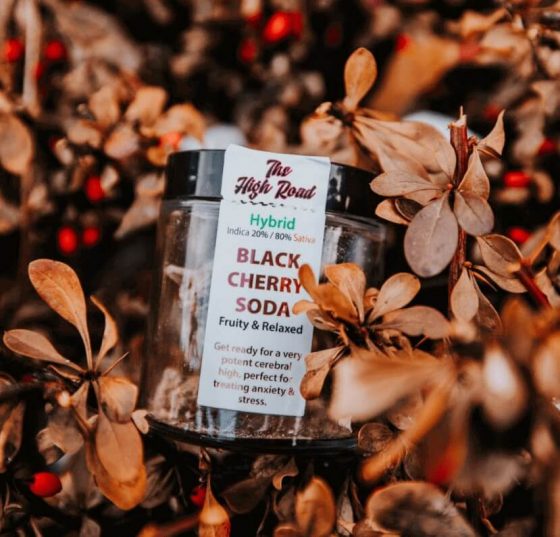 Black Cherry Soda Strain Review Featuring The High Road In Spokane