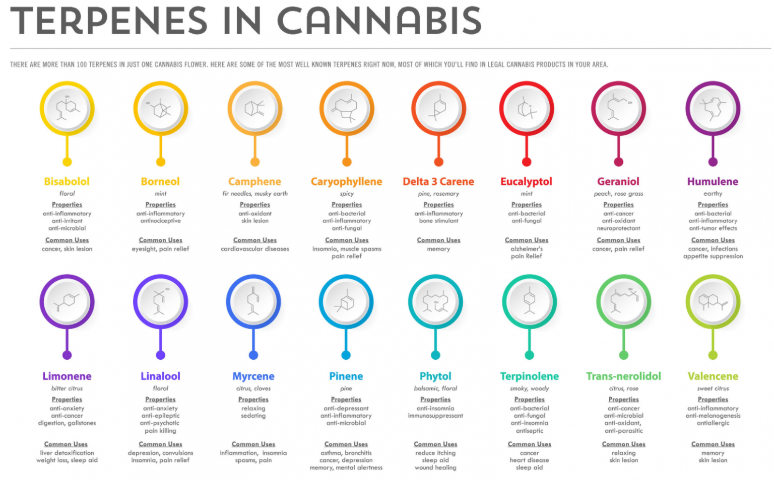 "Terpenes For Well-Being" Empowers Cannabis Users Looking To Explore ...