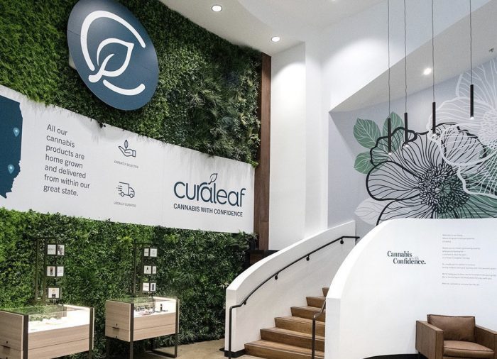 Learn About Curaleaf Edibles THC Chews and THC Nano Drops