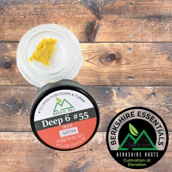 Berkshire Roots East Boston Brings Unmatched Service and Award-Winning ...