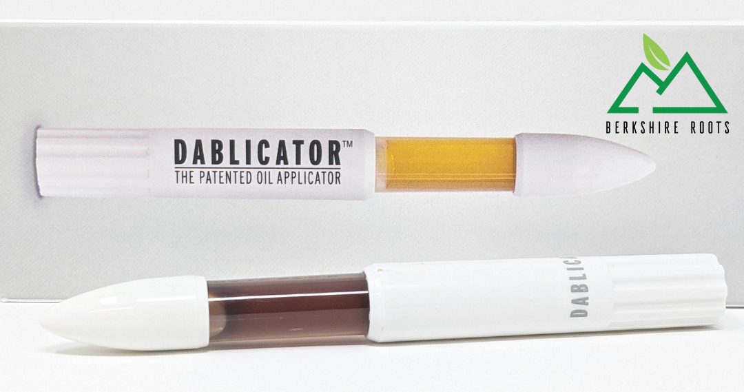 Berkshire Roots East Boston Brings Unmatched Service and Award-Winning ...