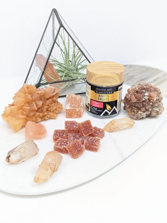 Berkshire Roots East Boston Brings Unmatched Service and Award-Winning ...