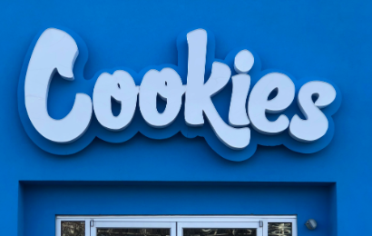 Cookies Bernie Hana Butter Strain: A Potent Choice for Even the Most ...