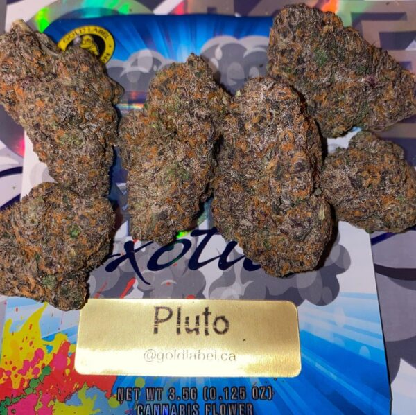 The Pluto Strain by Gas House Is Hard To Find For A Reason
