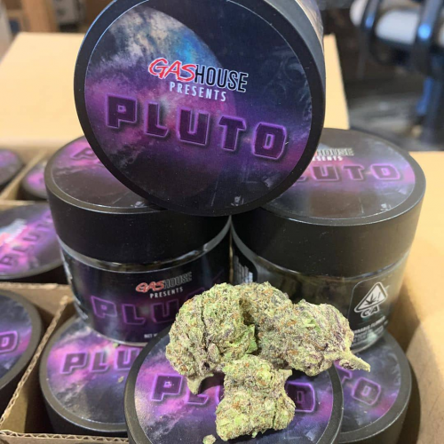 The Pluto Strain by Gas House Is Hard To Find For A Reason