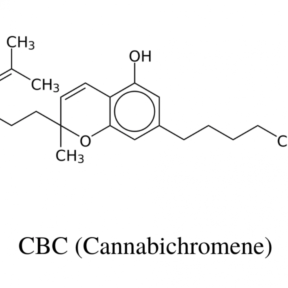 What is CBC? The Next Non-Psychoactive Cannabinoid to Rival CBD ...