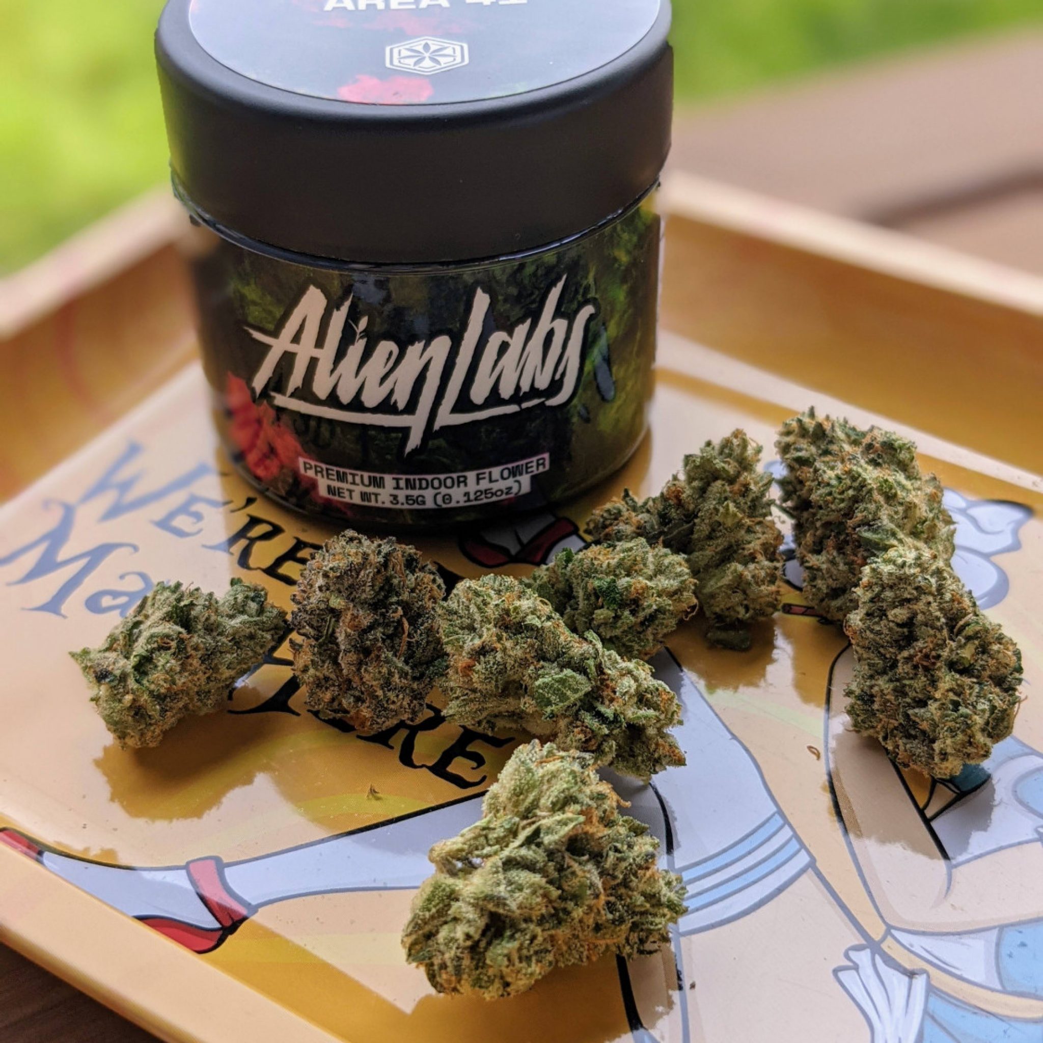 Area 41 Strain by Alien Labs: Well-Balanced Hybrid