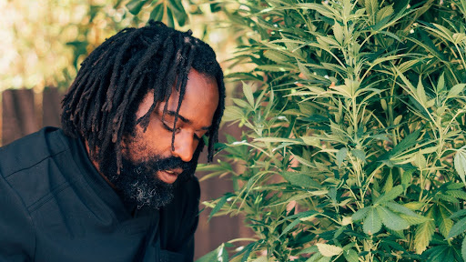 Growing At Home With Ricky Williams And The Homegrown Cannabis Co.
