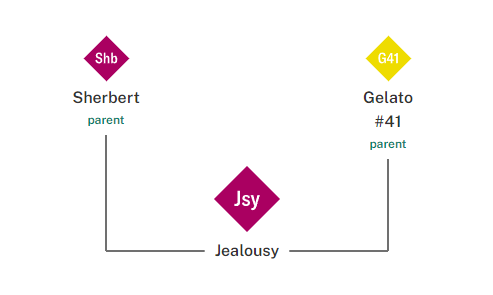 Jealousy Strain by Seed Junky Genetics | Review And Information