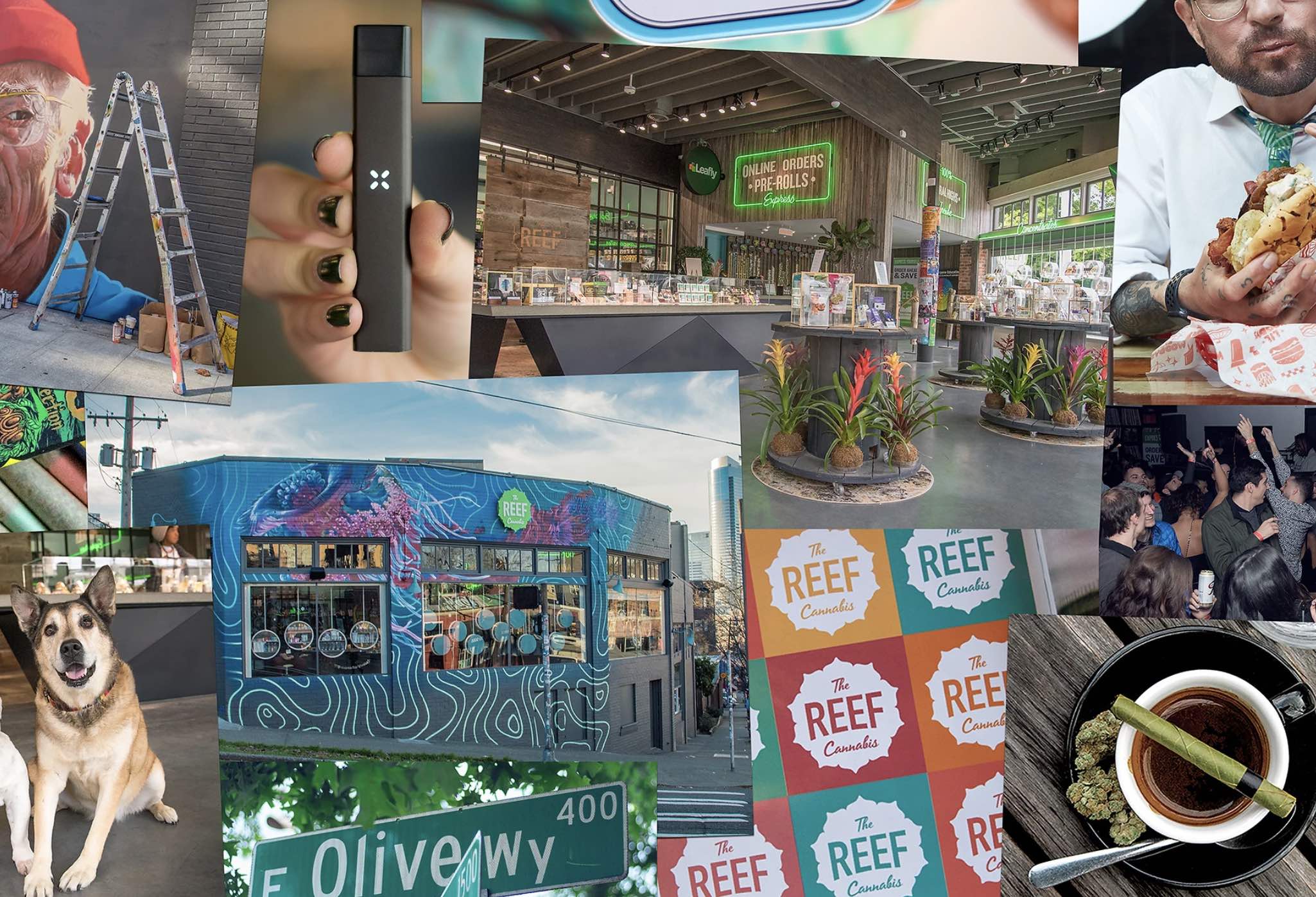 Best Edibles In Seattle Guide Feat. The Reef Dispensaries