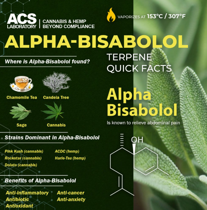 The Alpha-Bisabolol Terpene And Its Potential Benefits