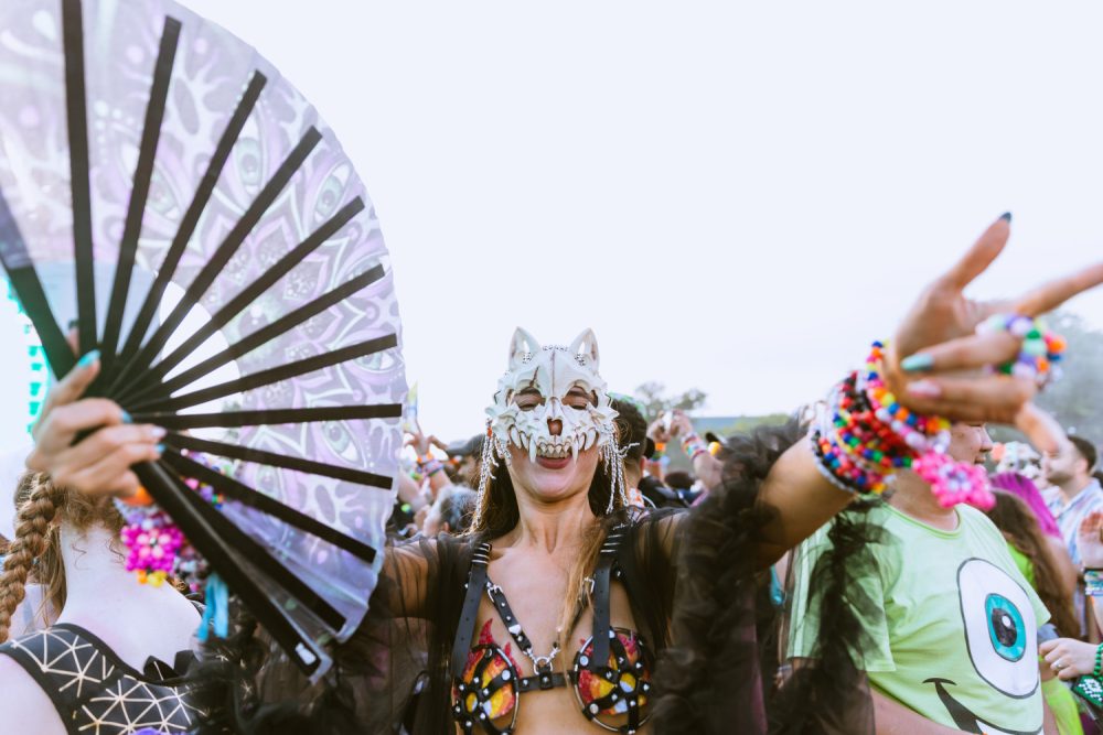 Electric Zoo Music Festival Uplifts New York City's Lively EDM Scene