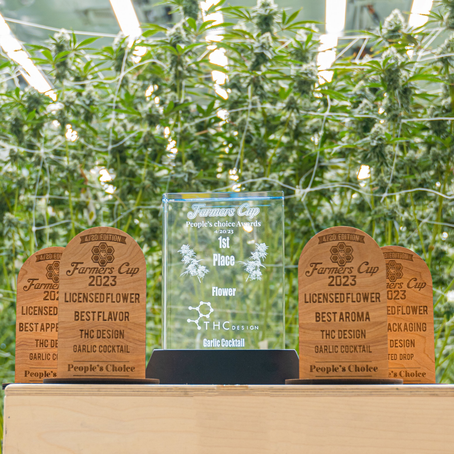 THC Design: The Award-Winning Cultivation Powerhouse