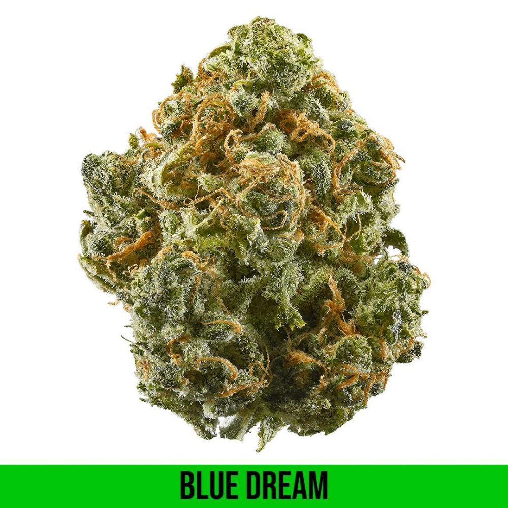 Classic Weed Strains 2025: 20 Legendary Cultivars