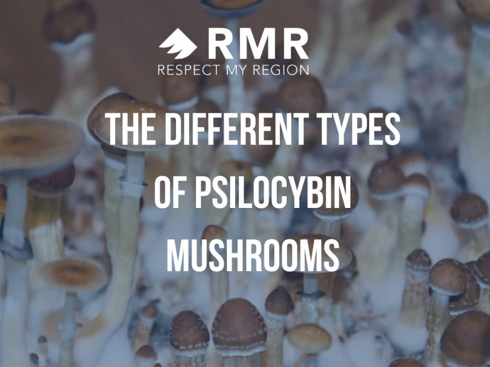 A Basic Shrooming Guide to The Different Types of Psilocybin Mushrooms
