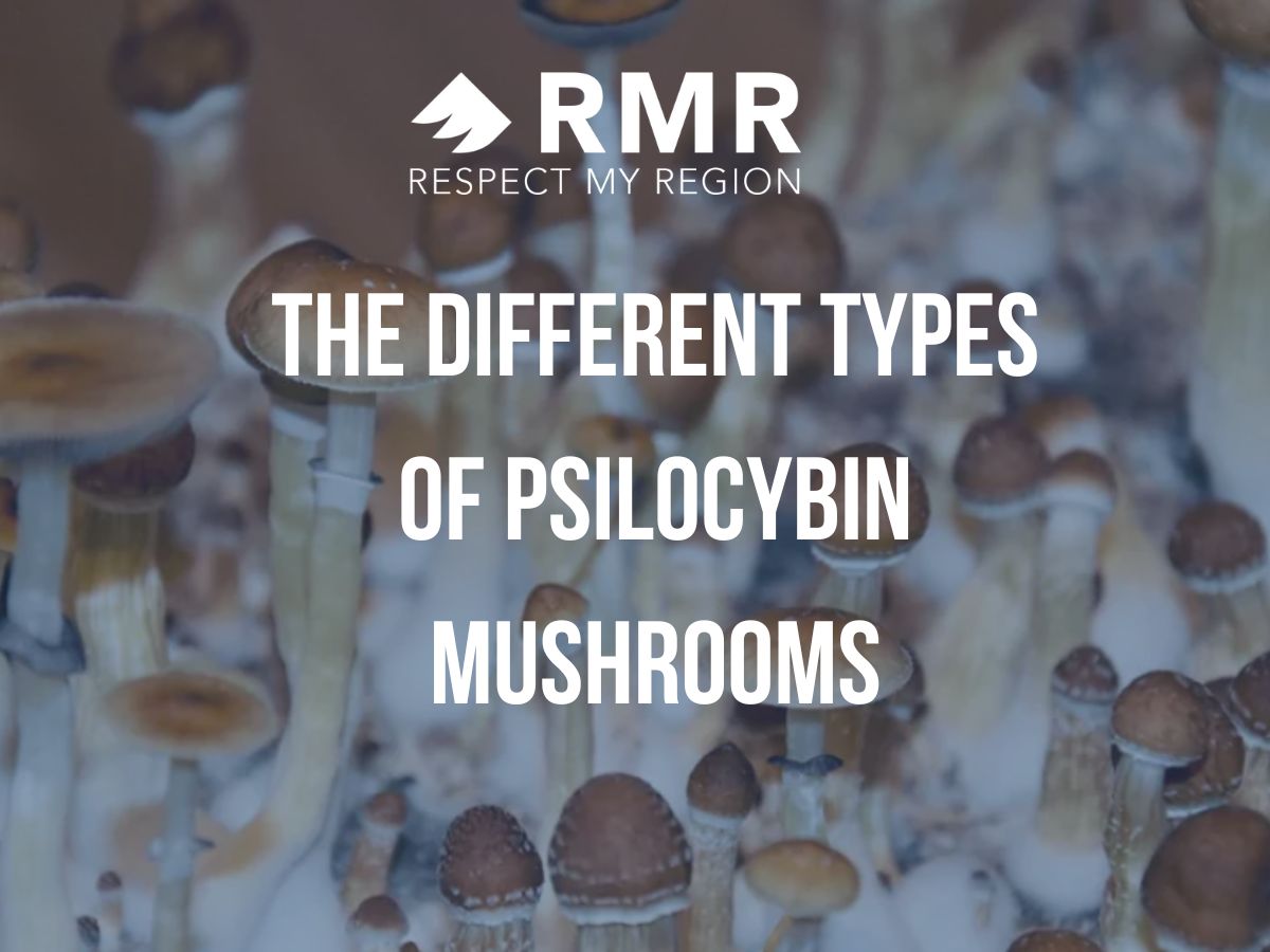 A Basic Shrooming Guide to The Different Types of Psilocybin Mushrooms