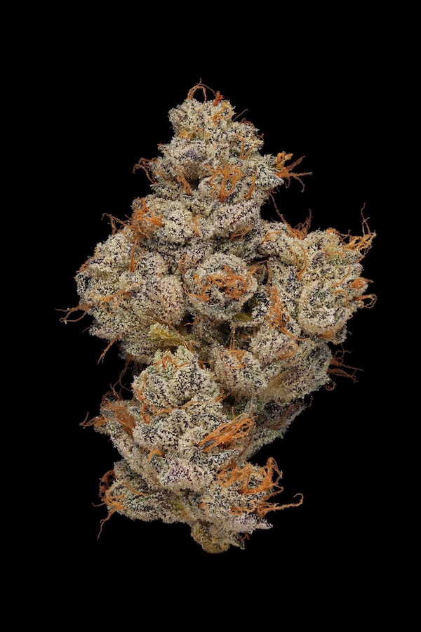 How David Holmes from Clade 9 Navigates His Cannabis Hustle