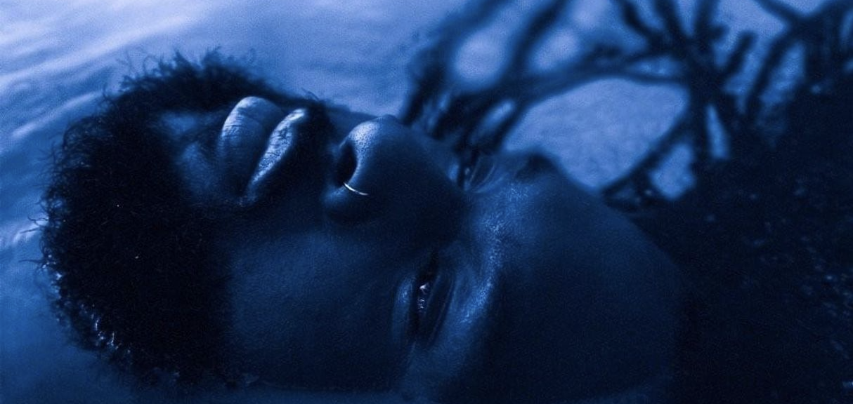 A Year With The Blue Hour By Rexx Life Raj