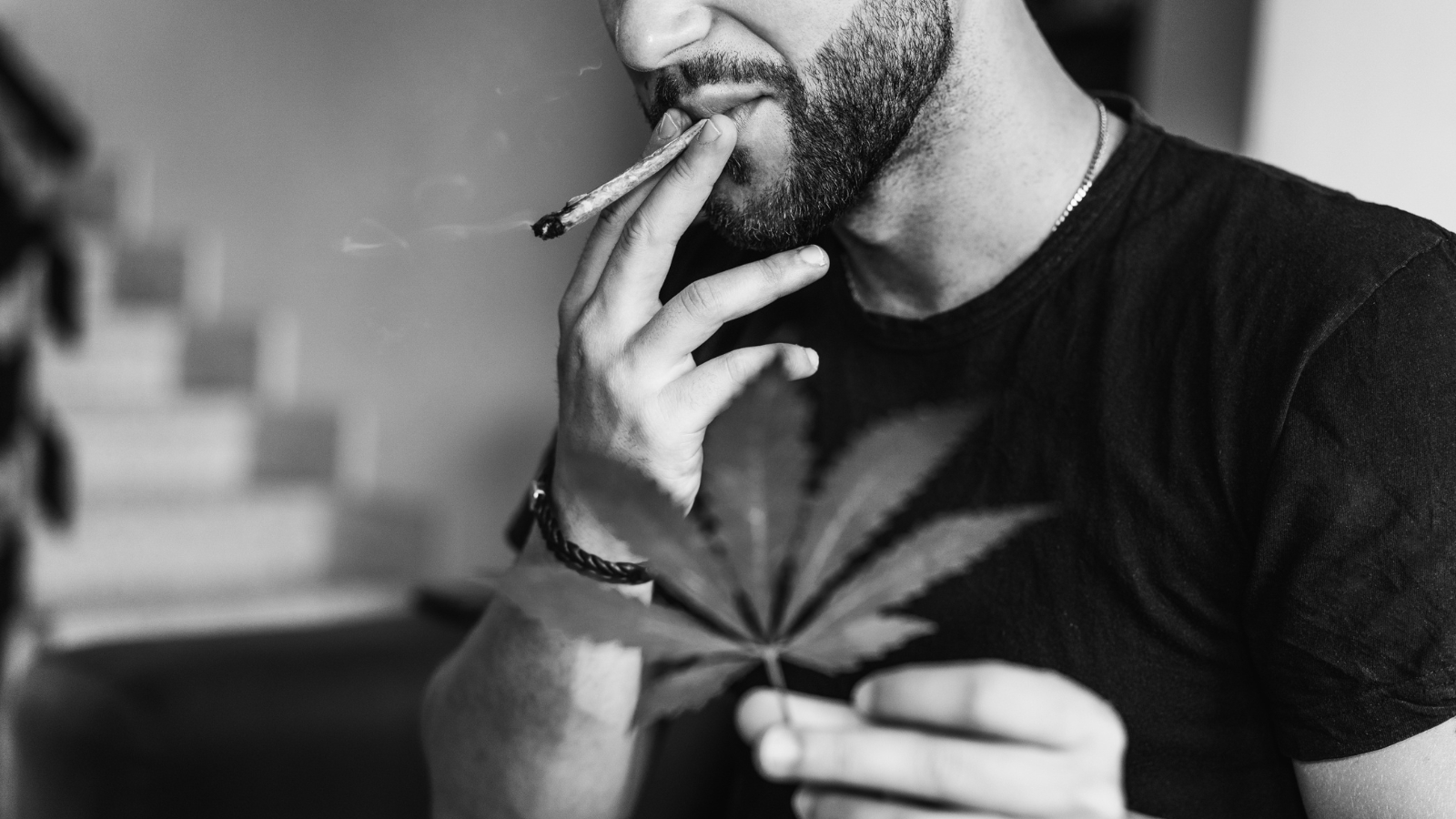 New Jersey’s Cannabis Scene: Leaf Haus Emerges as Premier Dispensary