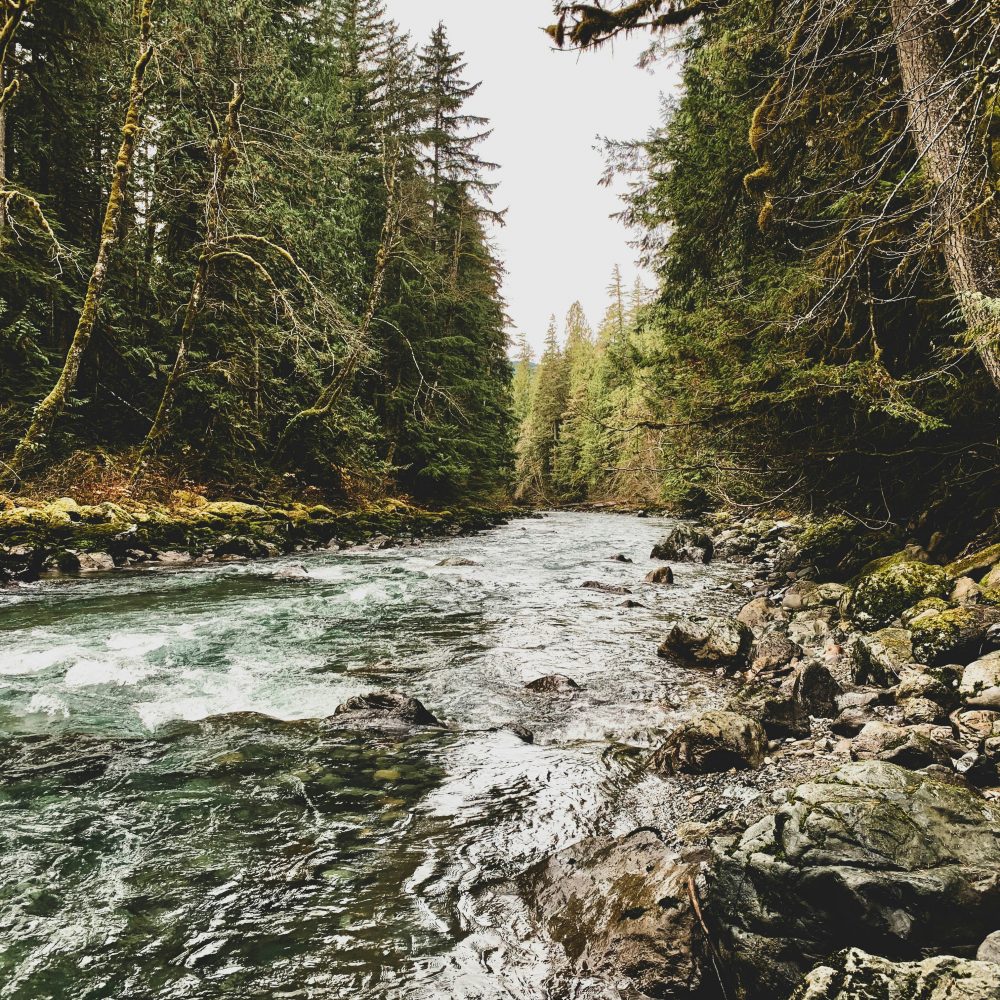 Washington State Campgrounds: Discover the Top 10 Spots for 2024