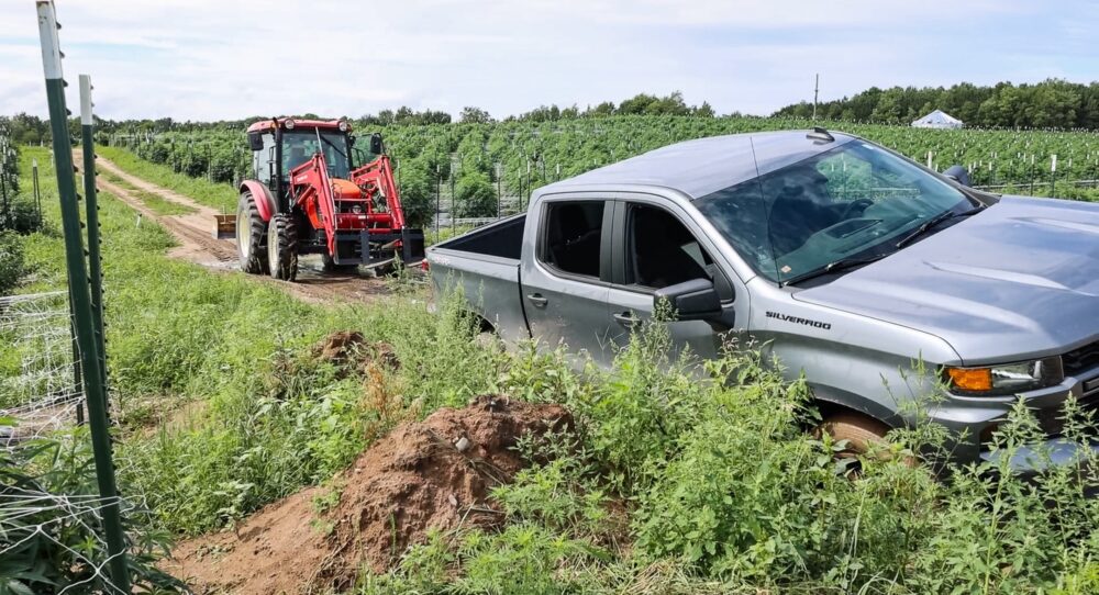 Manistee’s Cannabis Pride: The Story of Heritage Farms and Authentic ...